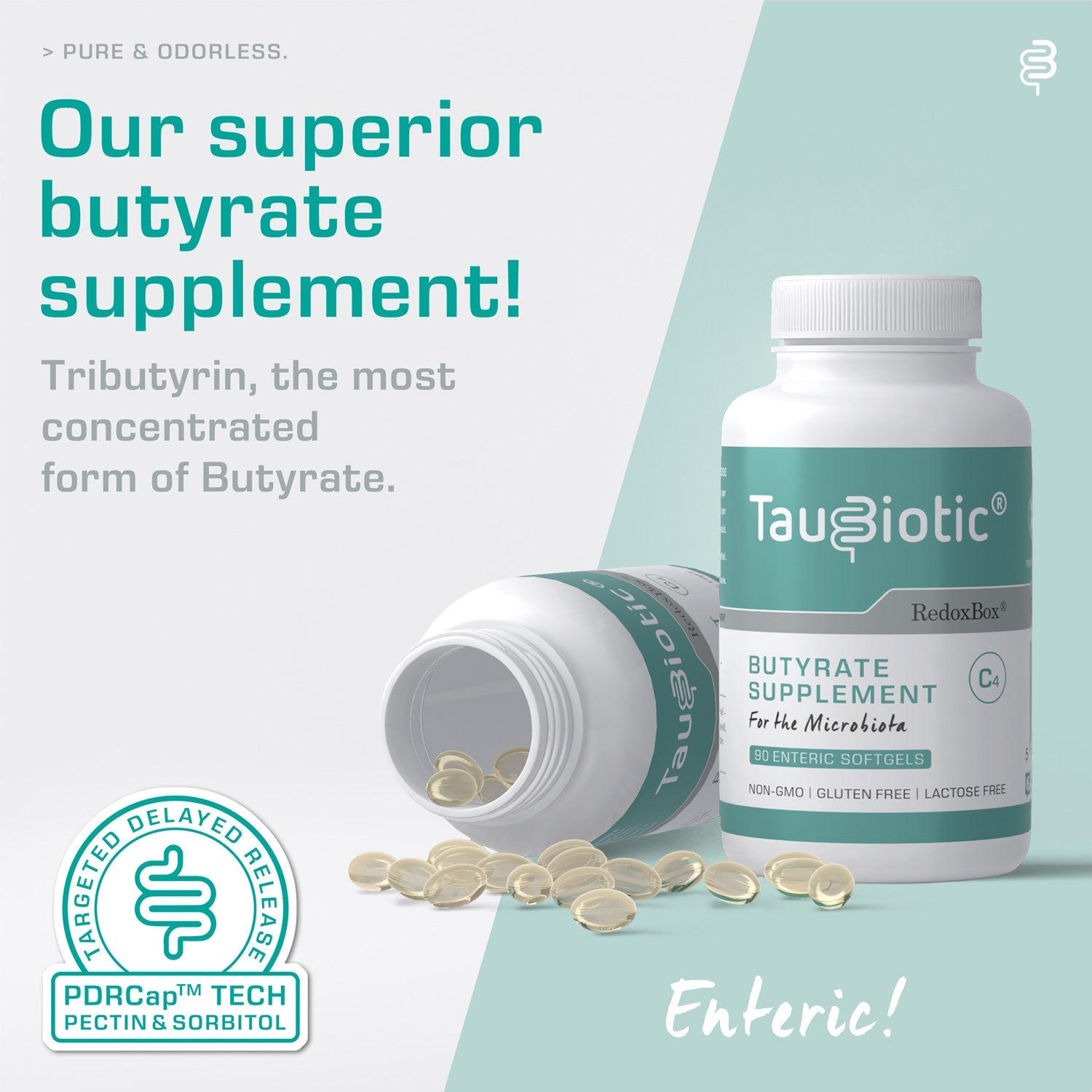 TauBiotic® Butyrate to reconnect your Microbiota | RedoxBox